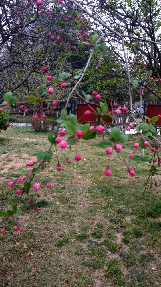 "Spring Equinox" (original poem) - iNEWS