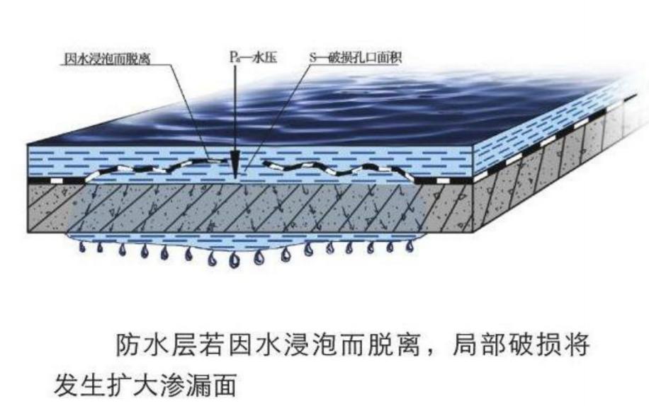 Compilation of Building Waterproof Node Practices - iNEWS