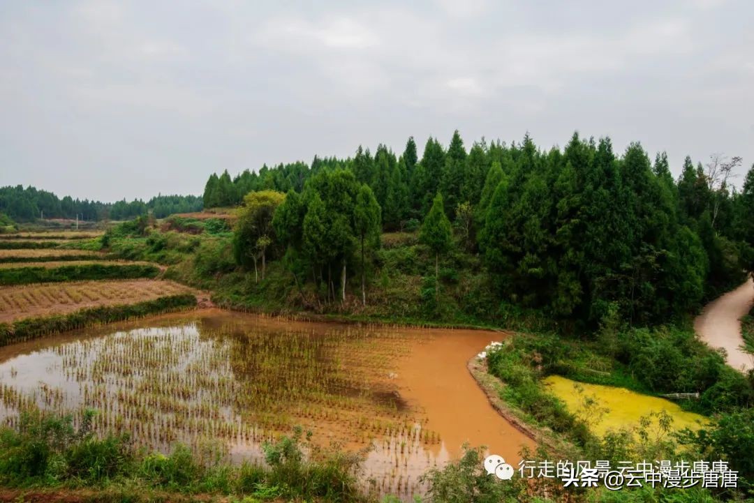 Yuechi: Eight fields of Tianping Town - iNEWS