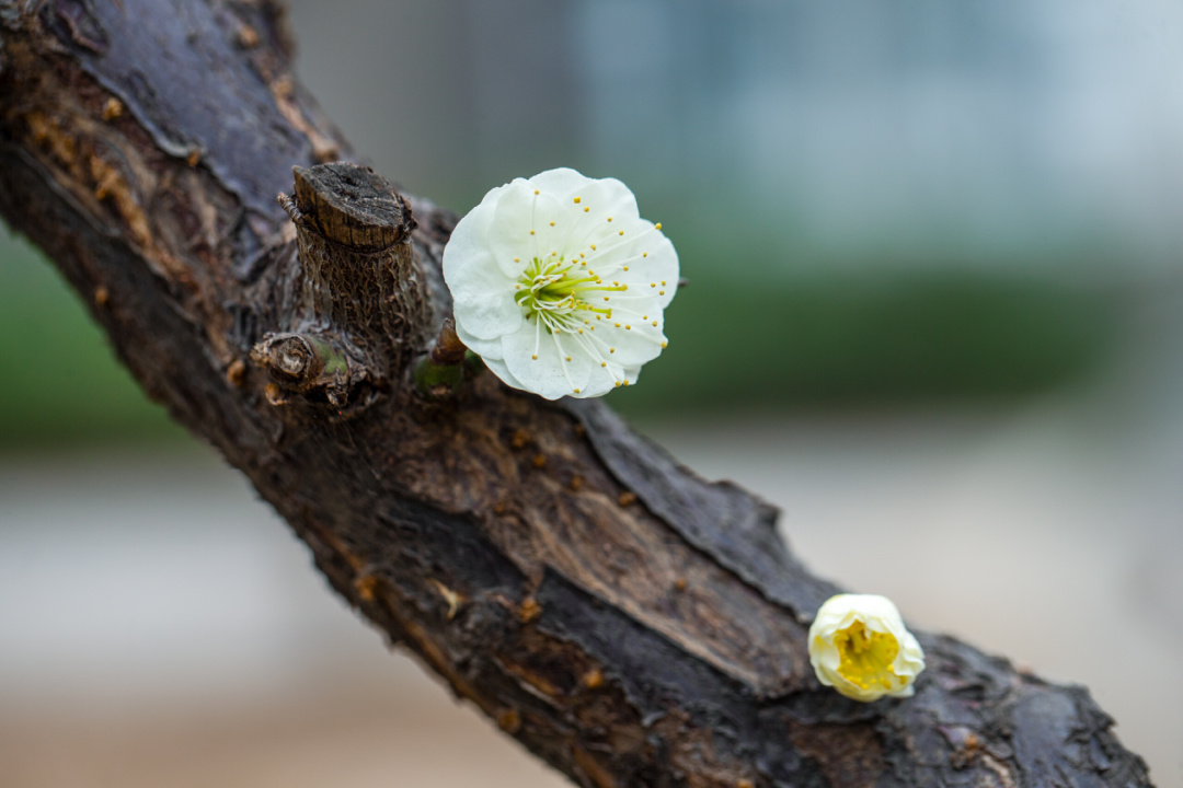 Getting rid of "weakness" and "sense of unworthiness" is an important ...