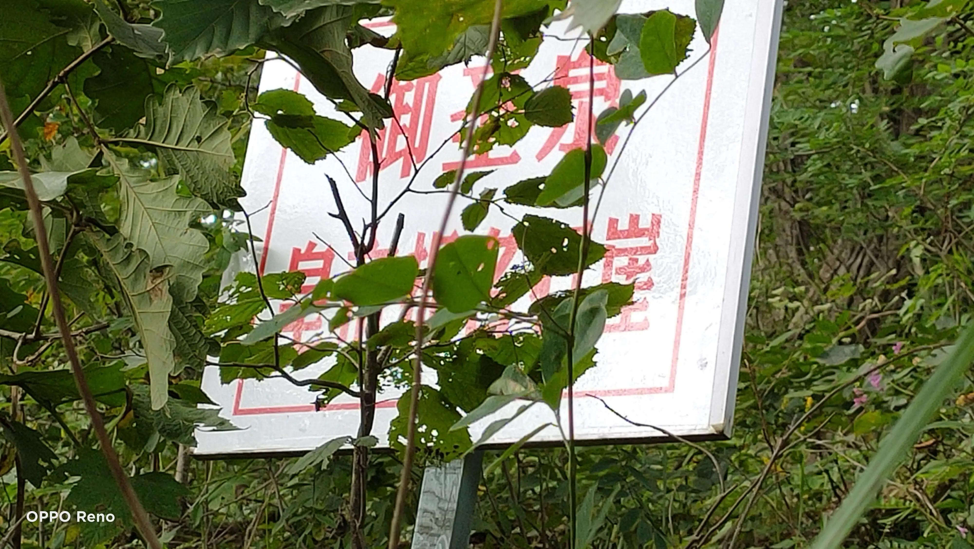 Exploring the source of the holy spring in Dongtang - iNEWS