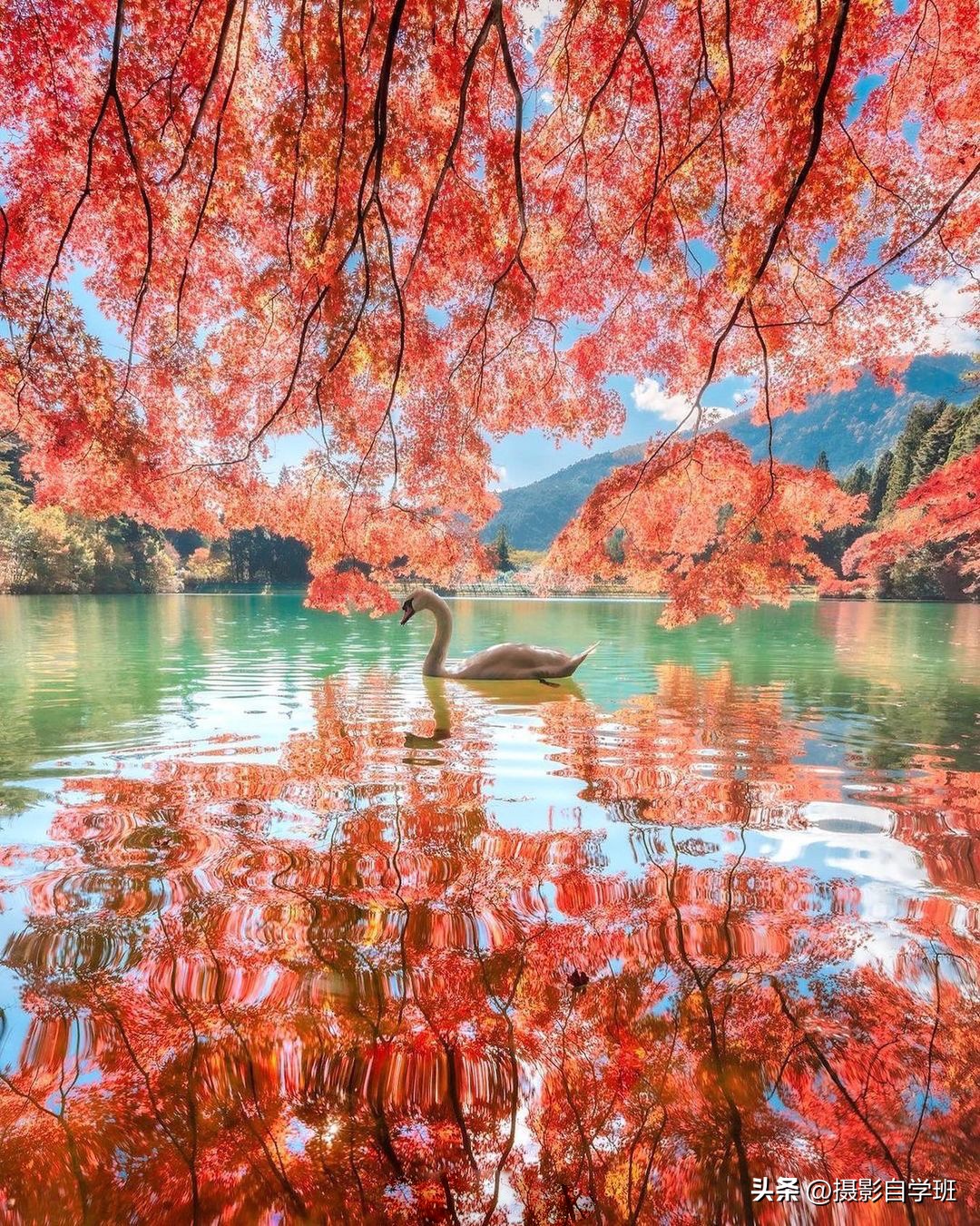Use mobile phone photography to leave thousands of beautiful scenery ...