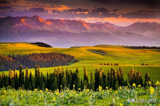 Su Shi's ups and downs and Su Zhe's smoothness, who do you choose to be ...