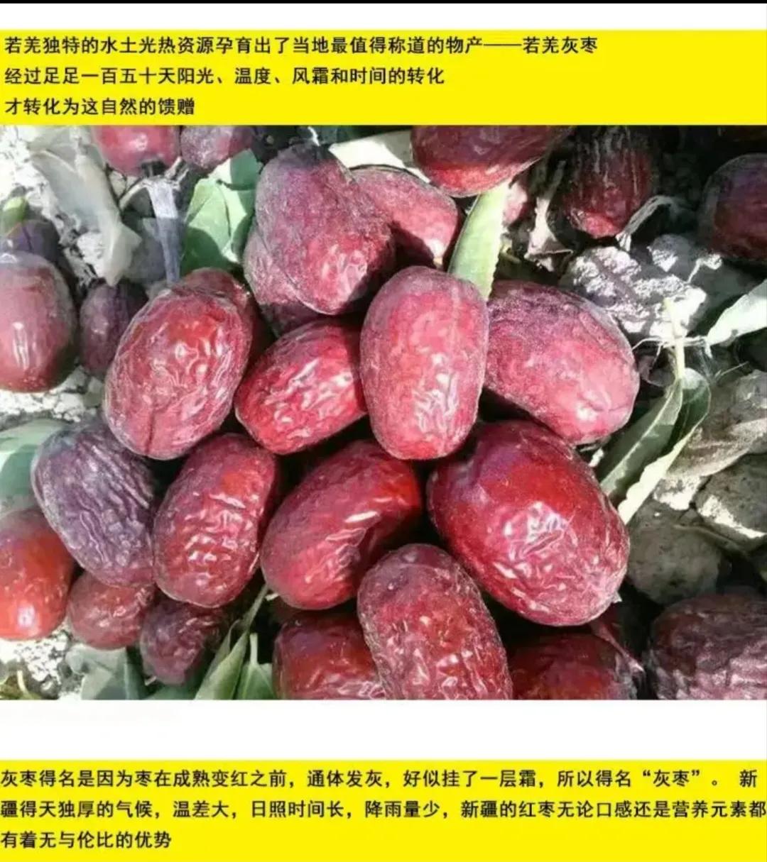 Xinjiang · Ruoqiang gray jujube - iNEWS