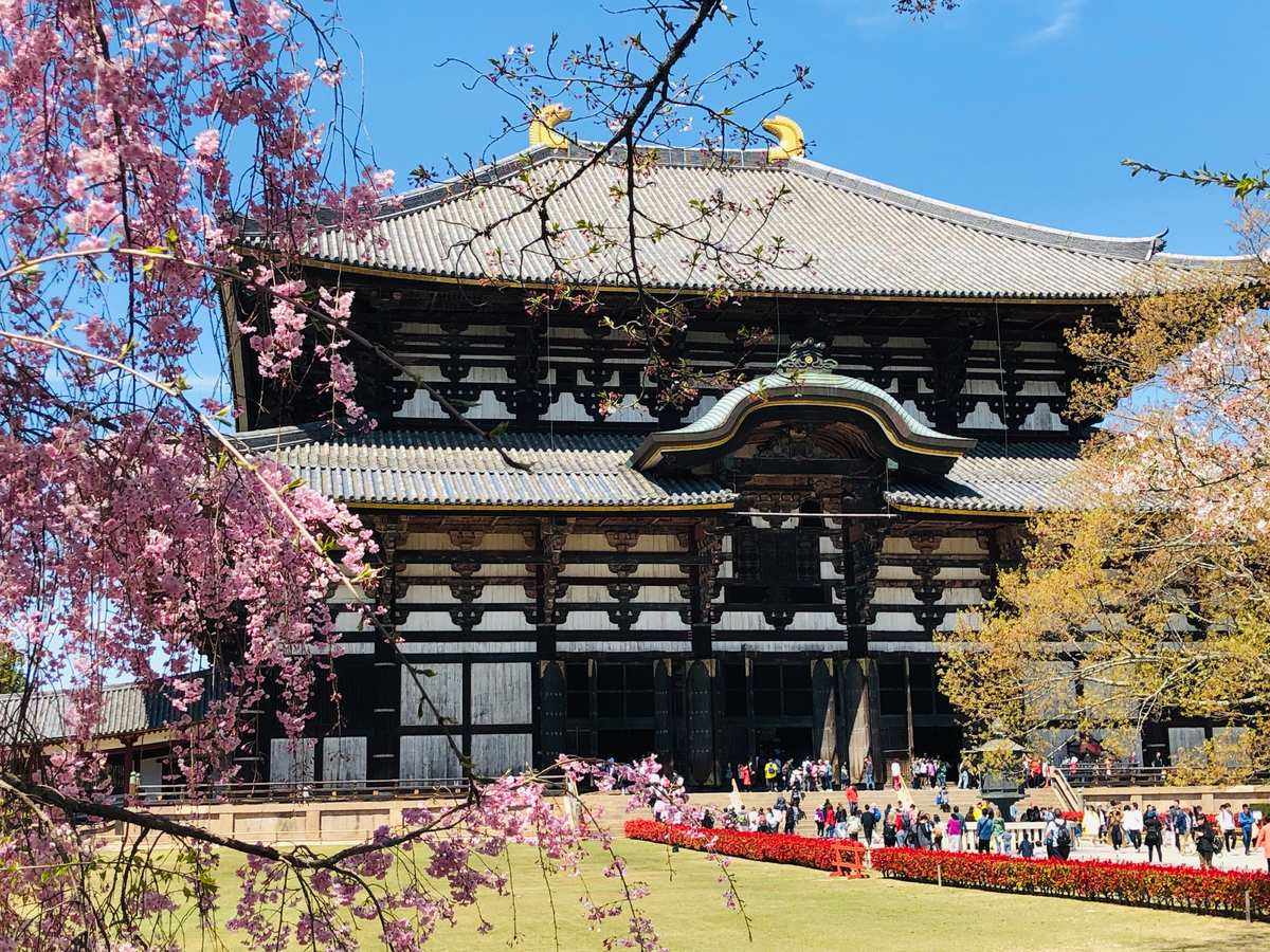 Starting from the spatial evolution of ancient Japanese temple ...
