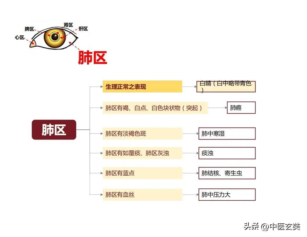 TCM eye-diagnosing heart method - what is known by sight is called God ...