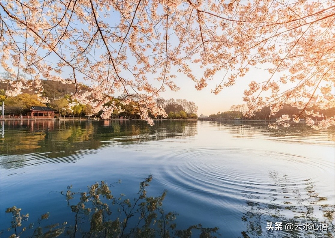 In Bai Juyi's "Early Winter", the couplets use lianzhu pairs, and the ...