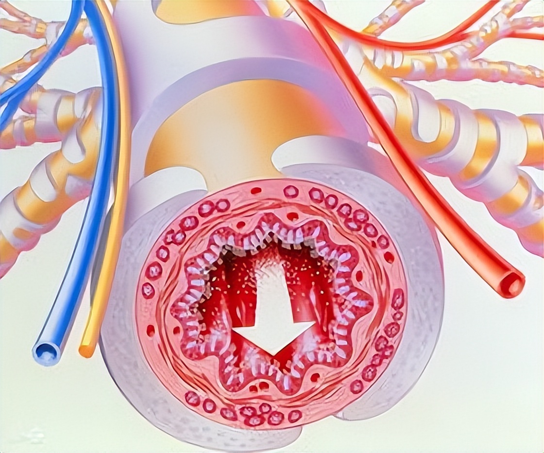 Excessive phlegm can lead to all kinds of diseases, the first recipe ...