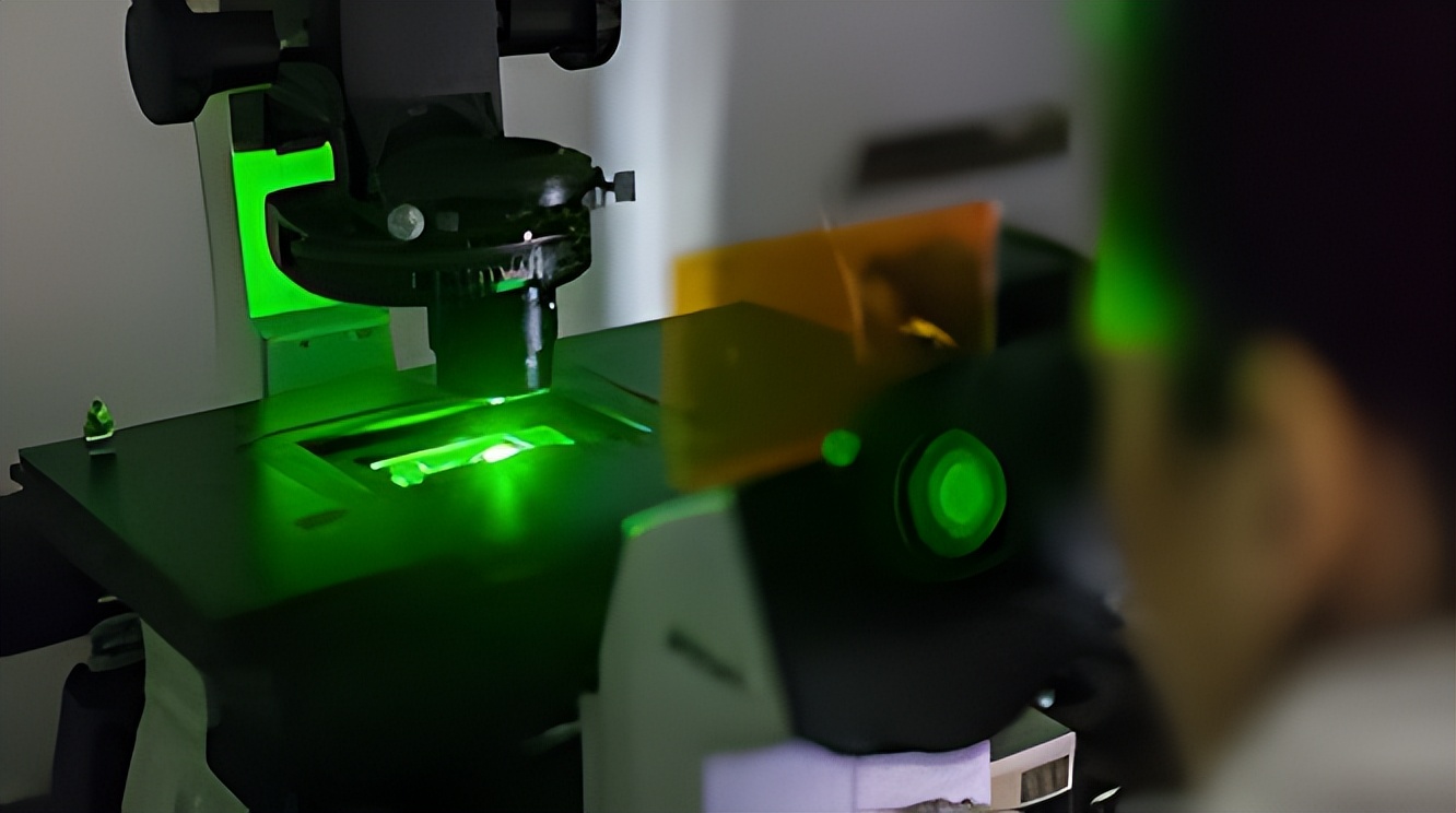 Application of "Optical Microscopy" Measuring Fiber Diameter Technology in SIC - iNEWS