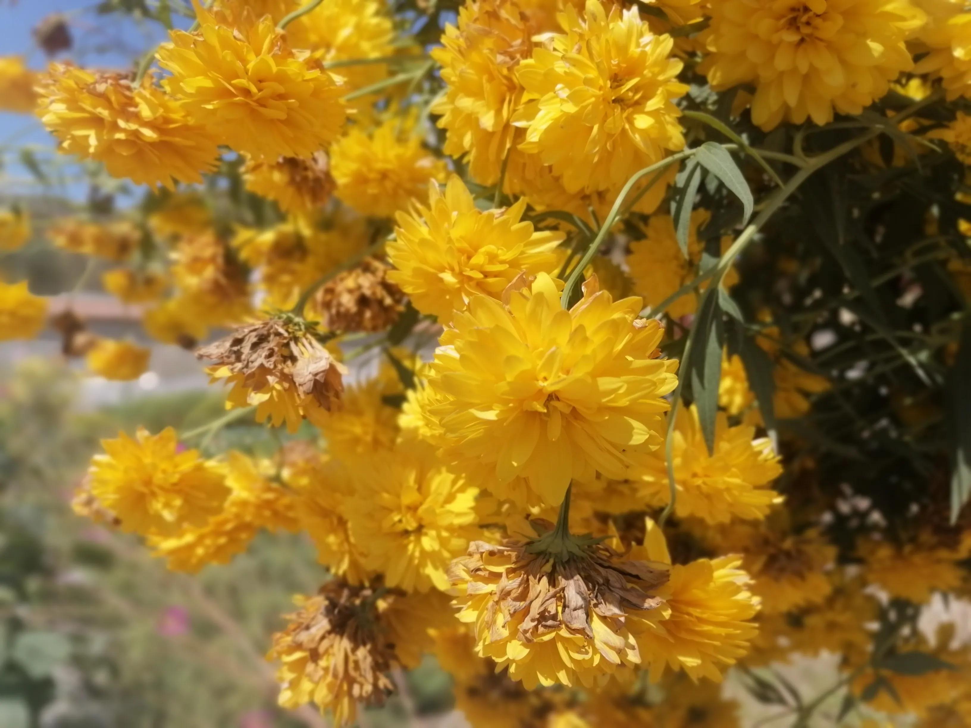 Is Liangzhou one of the three major cities in ancient China?In fact, Mr ...