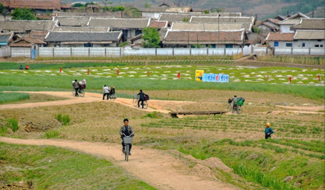 Dancing with North Korean peasant girls (30) - iMedia
