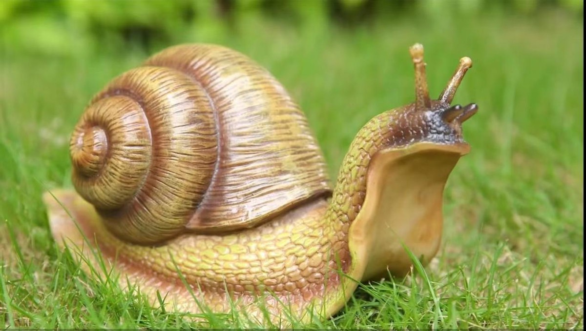Exploration and discovery of snail with static electricity - iNEWS