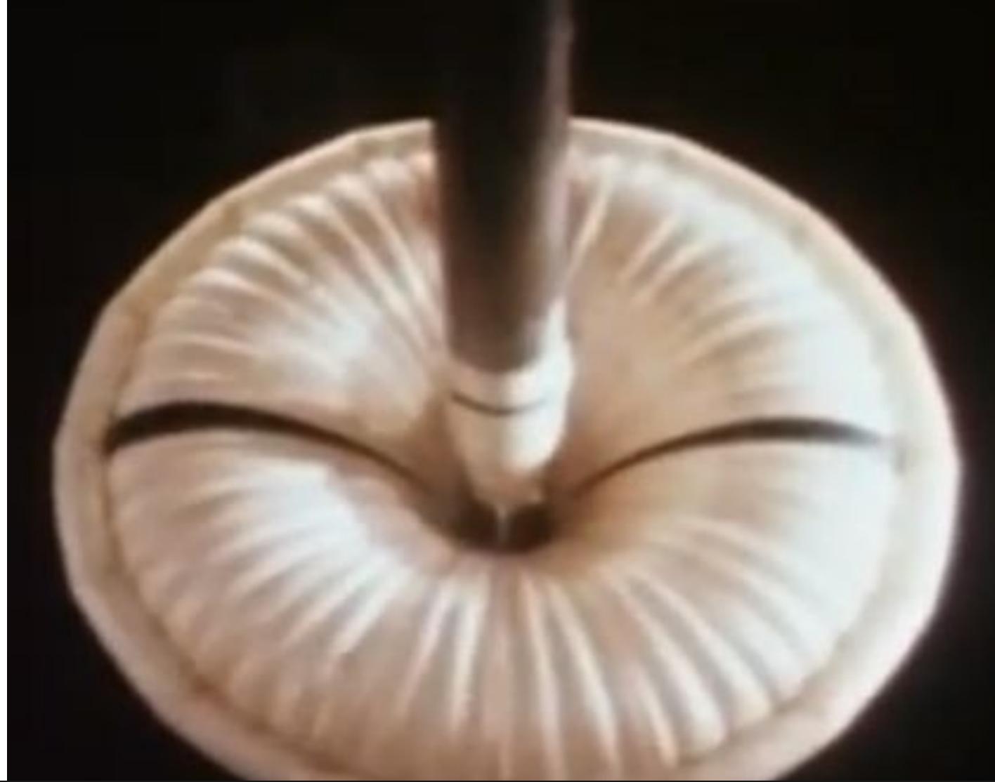 What we didn't do, the United States did, NASA's "inflatable return ...