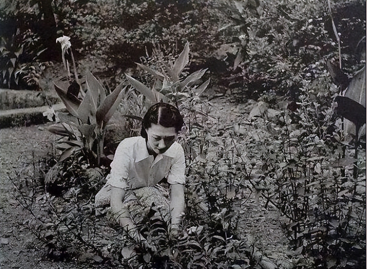 The old photo of Miss Zhao Si taken by Zhang Xueliang subverts your ...