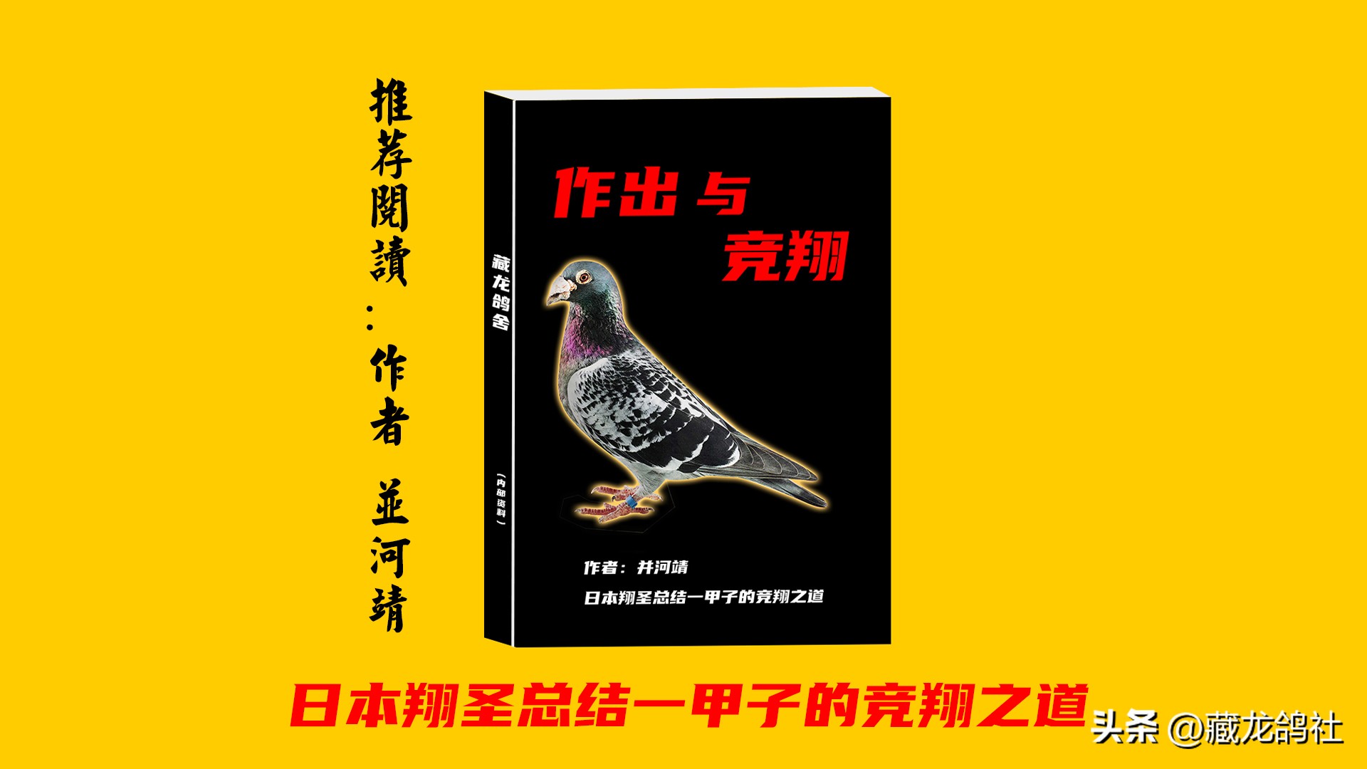The Mystery of Pigeon Age - iNEWS