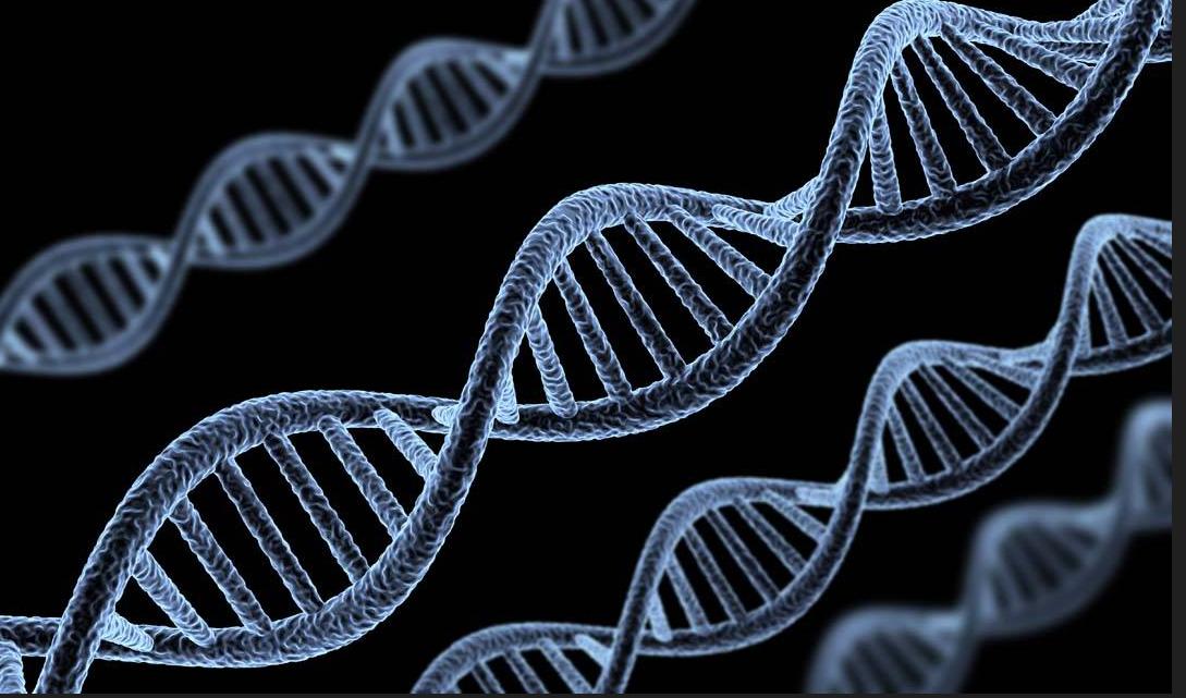 The arrival of the king of storage, the breakthrough of DNA storage ...