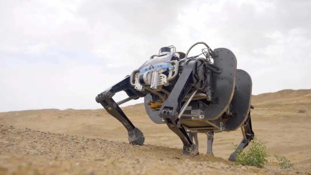 cool!Robot dog "Geda", "Electric Yak" - iNEWS