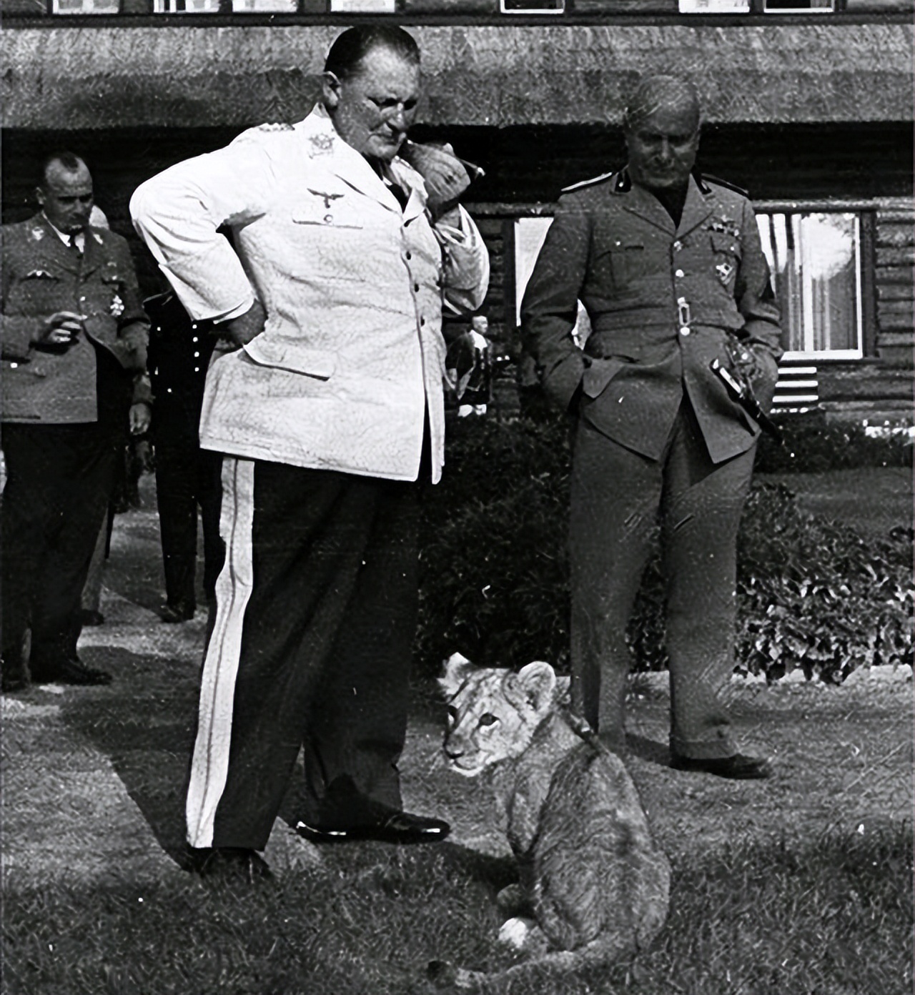 The Nuremberg Trials in the Evaluation of the Social Platform "Der ...