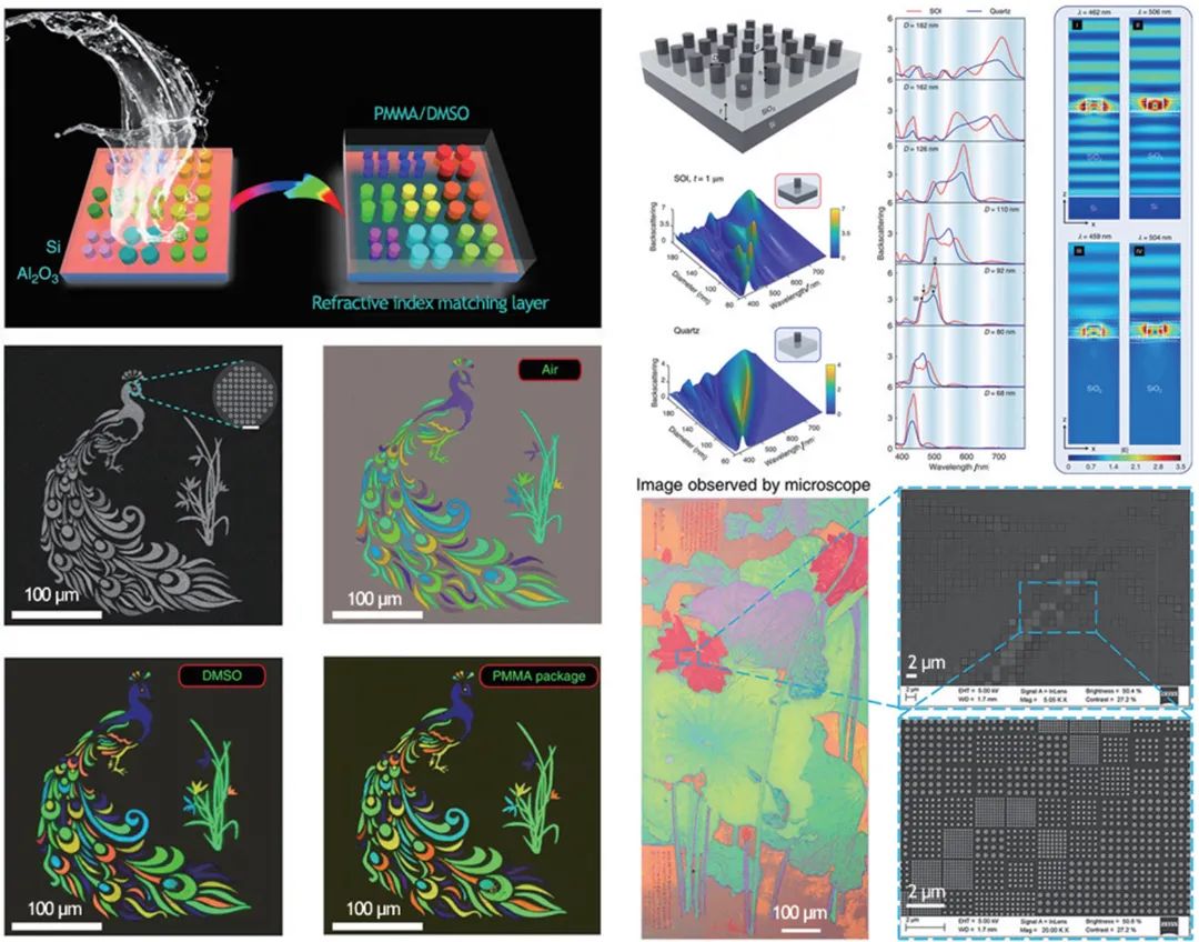 Looking back on the research hotspots of structural color printing in ...