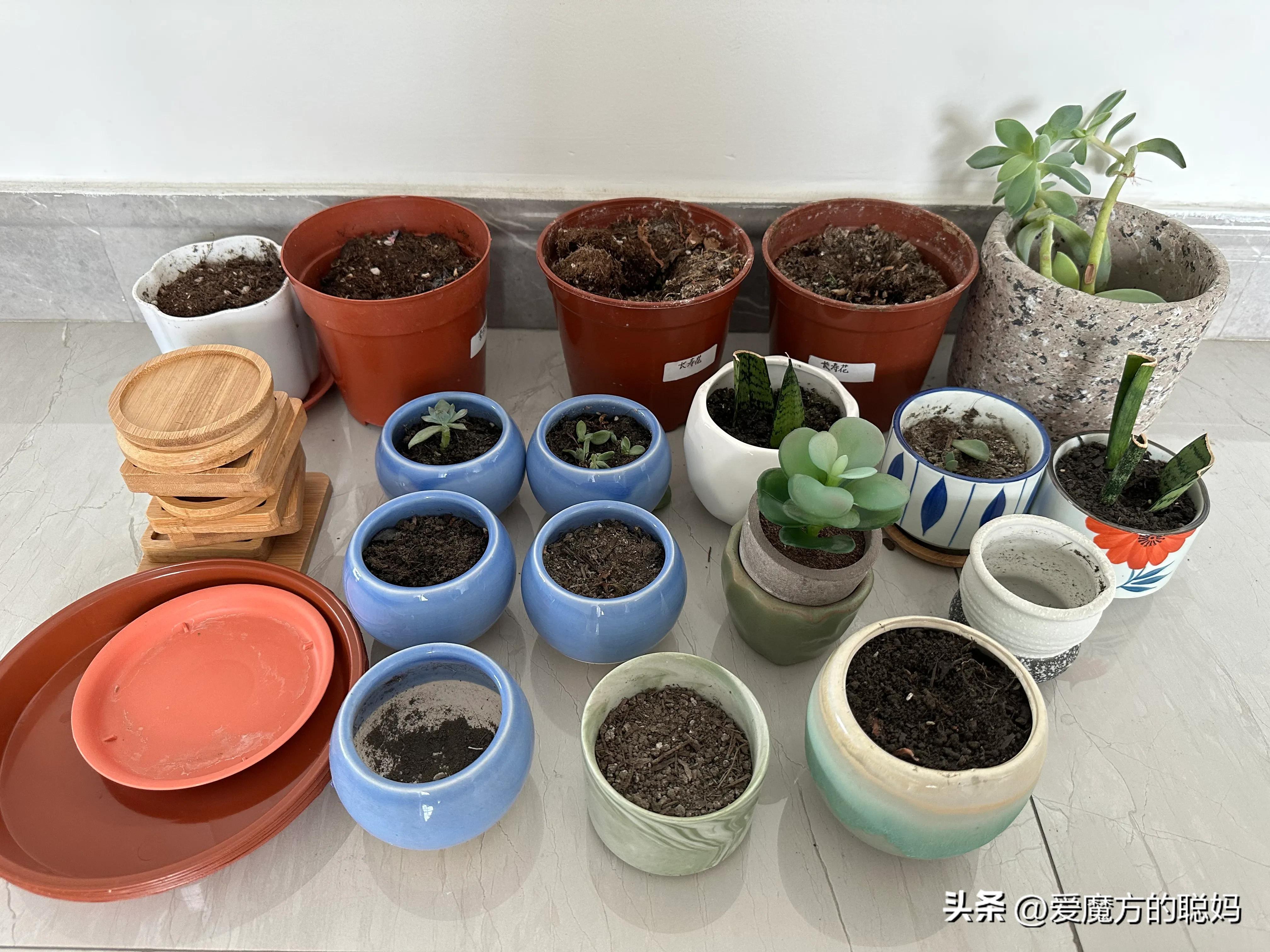 The process of simplifying your life is the process of simplifying ...