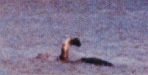 Top 10 Mysteries of the World's Water Monsters - iNEWS