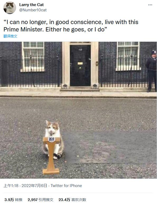 British Prime Minister resigns because of feud with cats?Take a look at ...
