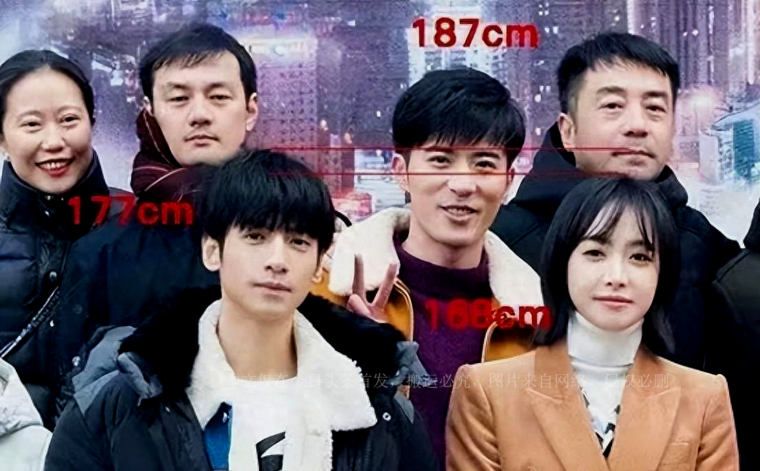 They have good looks, but they are too short. The heights of these 6 ...