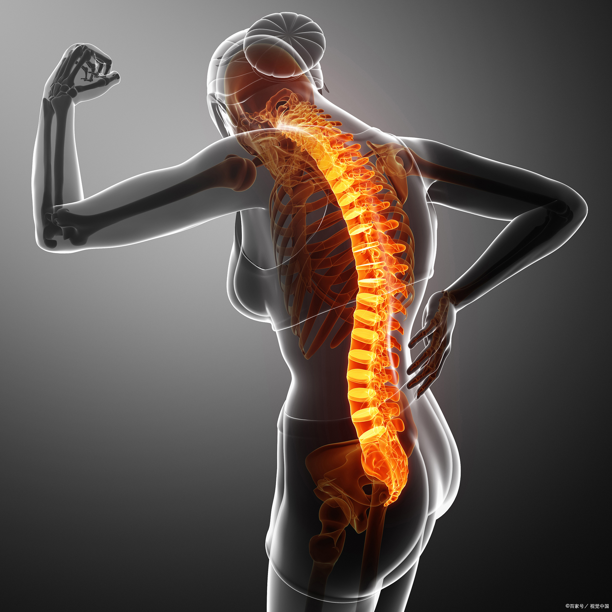 Five-point support, movements you can do when you have low back pain ...