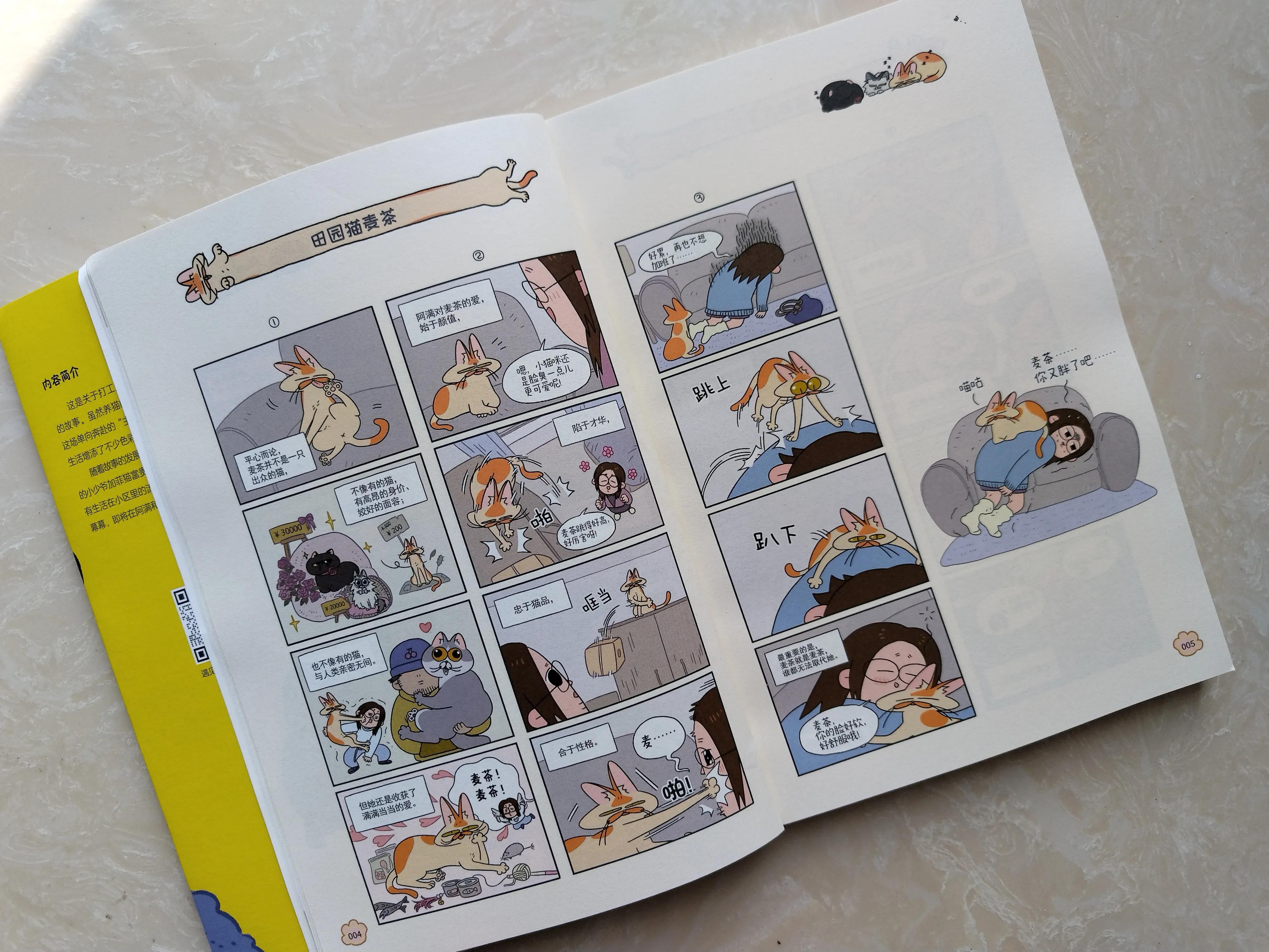 "Aman and Maicha": man-cat interaction healing comics, warm your life ...