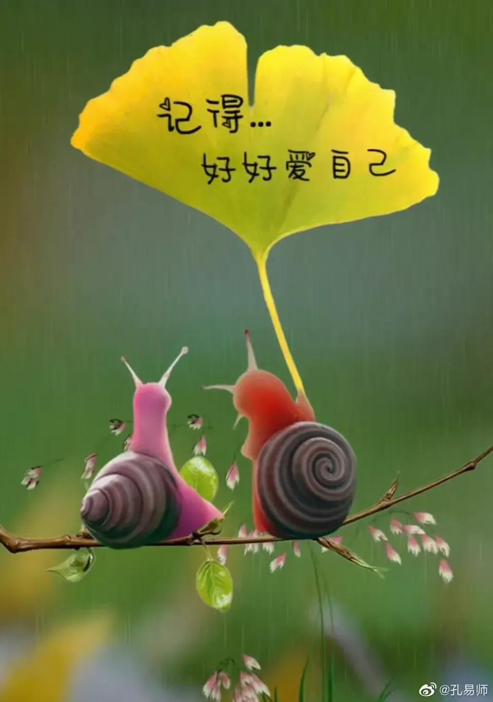 woman has no own - iNEWS