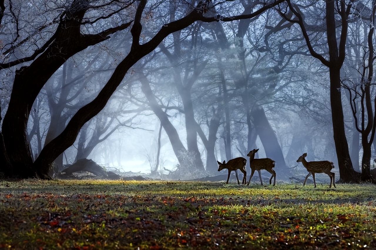 Canon EOS R5 My landscape and star photography equipment - iNEWS