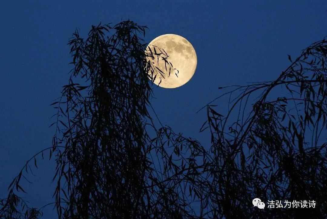"Today's Poetry" May I be like the stars and the moon, and the lights ...