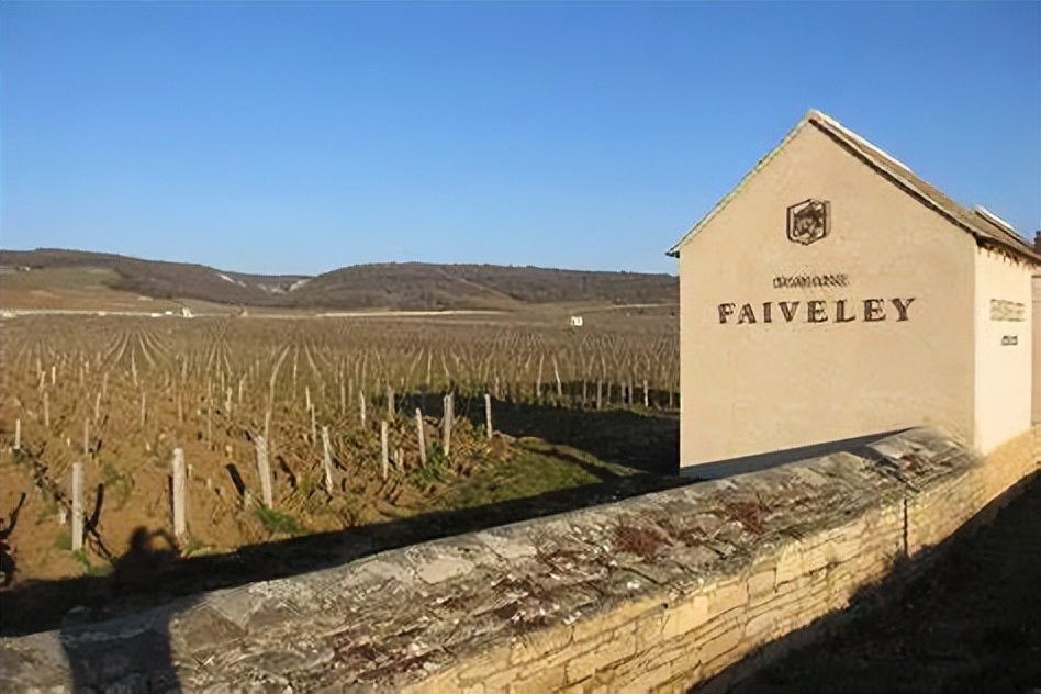 Faiveley, Burgundy's largest winery - iNEWS