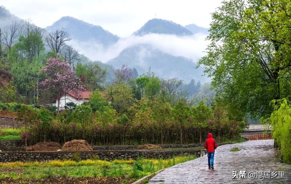 Ten miles of spring breeze, thousands of acres of flowers, the most ...