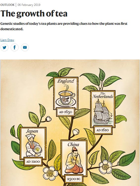 The formation, development and influence of Chinese tea culture - iNEWS
