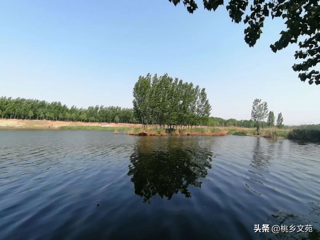 "Original" Wang Qingji: Strange, Ingenious, Interesting Selections (36 ...