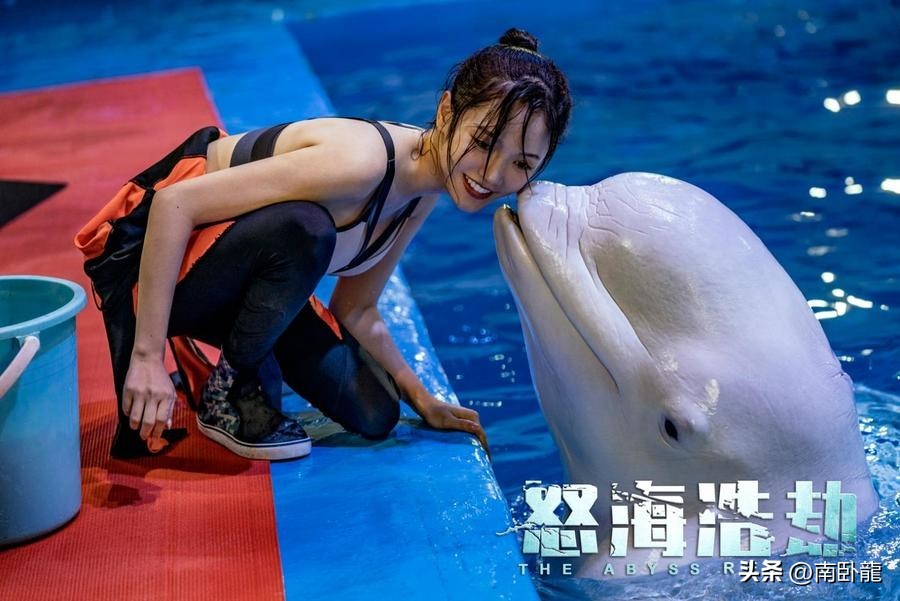 "The Catastrophe of the Raging Sea" was released, hardcore rescue and ...