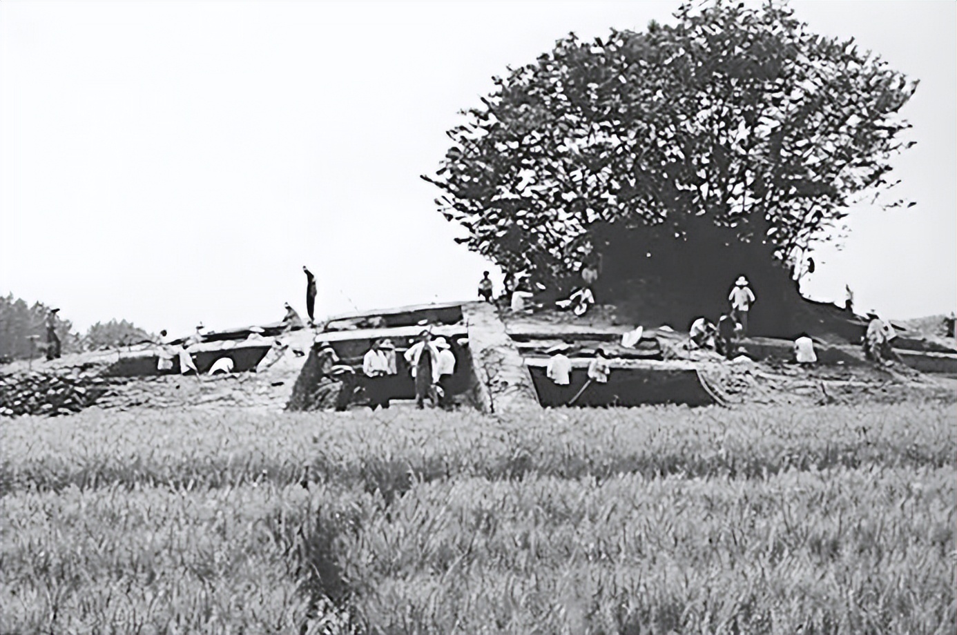 King Ling of Chu's "Central Plains Disease" - iNEWS