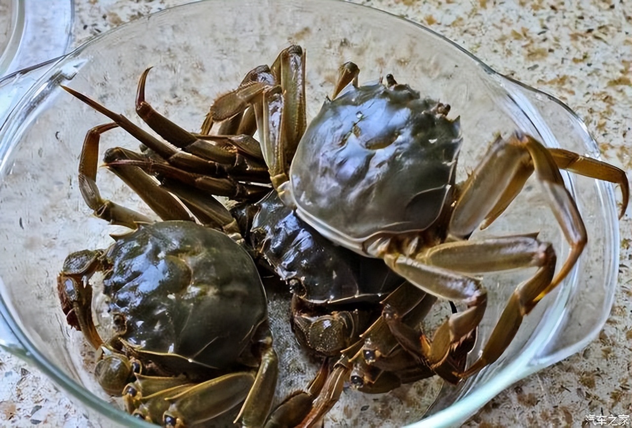 Steamed crabs, it is best not to put them directly in the pot, keep in ...