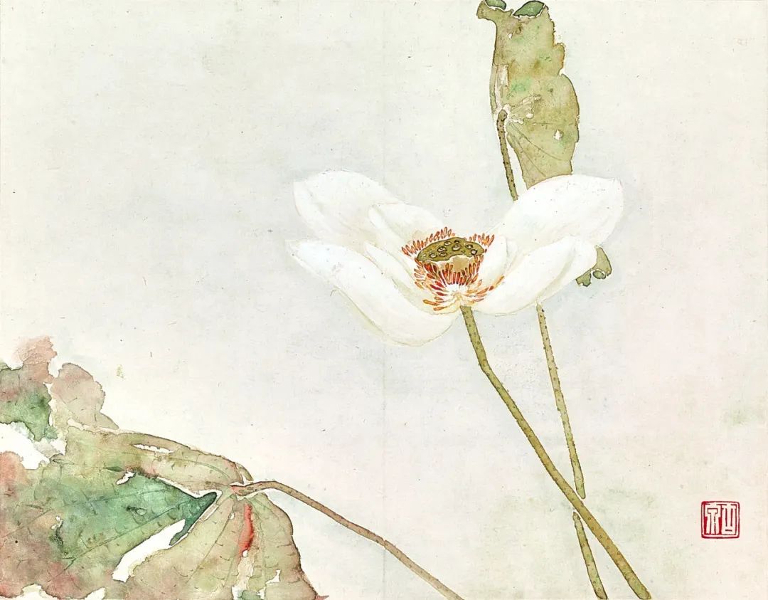 Ju Lian"Qing Yi Du Dust Book" - iNEWS