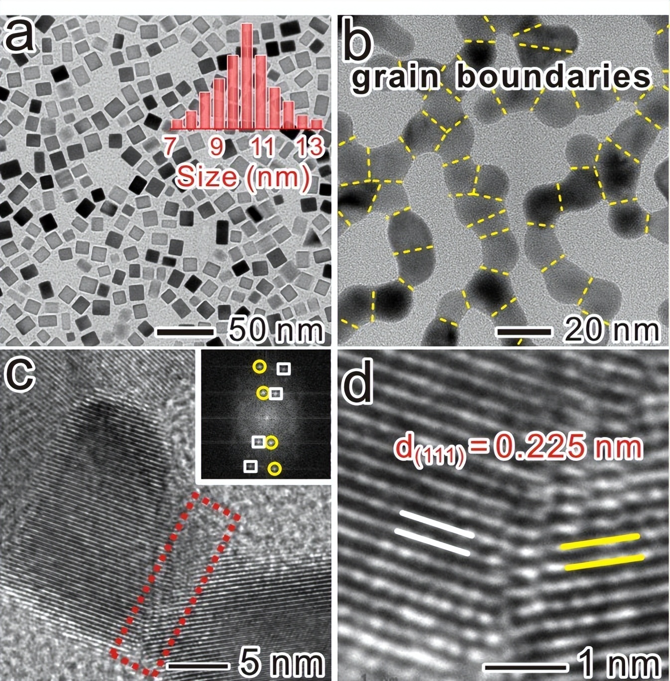 Phase-Interface-Assisted Synthesis of Two-Dimensional Metal Networks ...