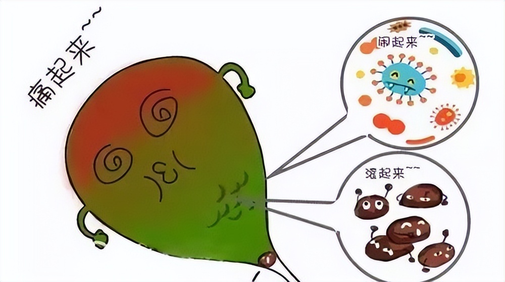 This diet guide will help you celebrate the Spring Festival healthily ...