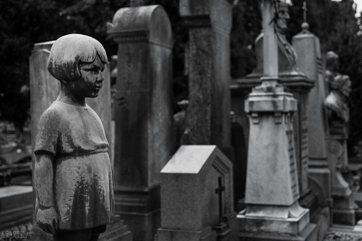 The ideal "cow", the radar can scan the soul - iMedia