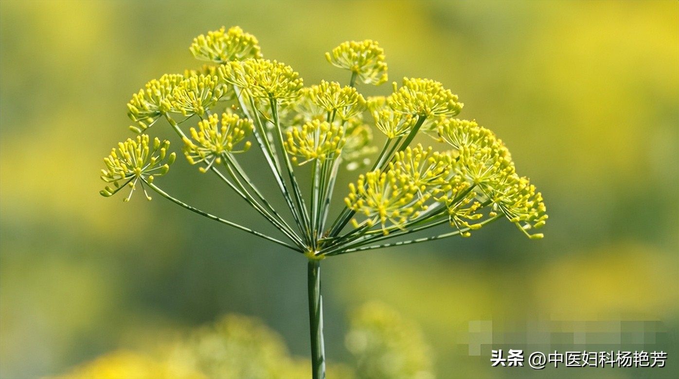 Wang Qingren, a famous doctor in the Qing Dynasty, handed down famous ...