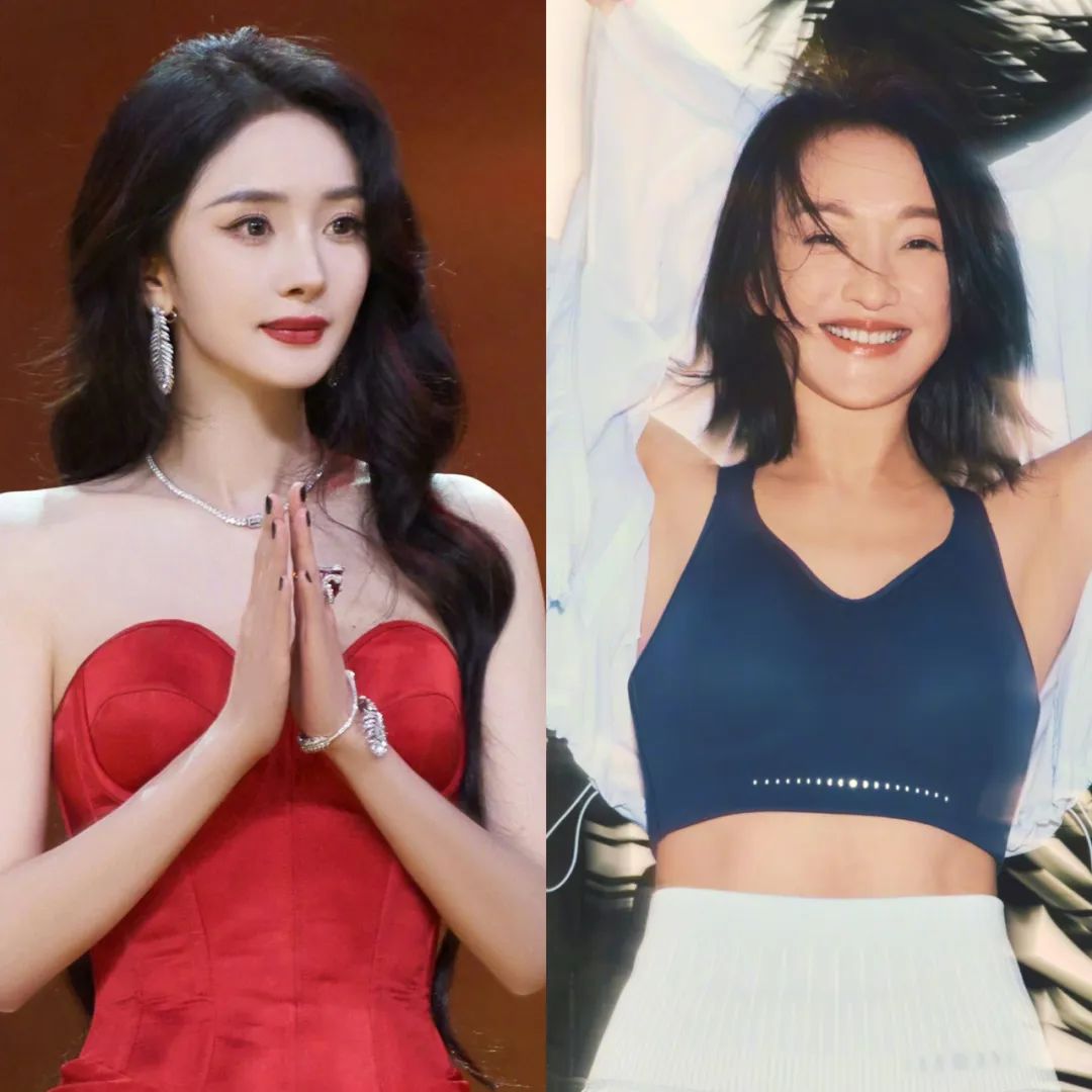 Yang Mi, Zhou Xun, Hu Ge, baby, Yang Yang, Wang Churan, Wang Hedi, Deng Chao - iMedia