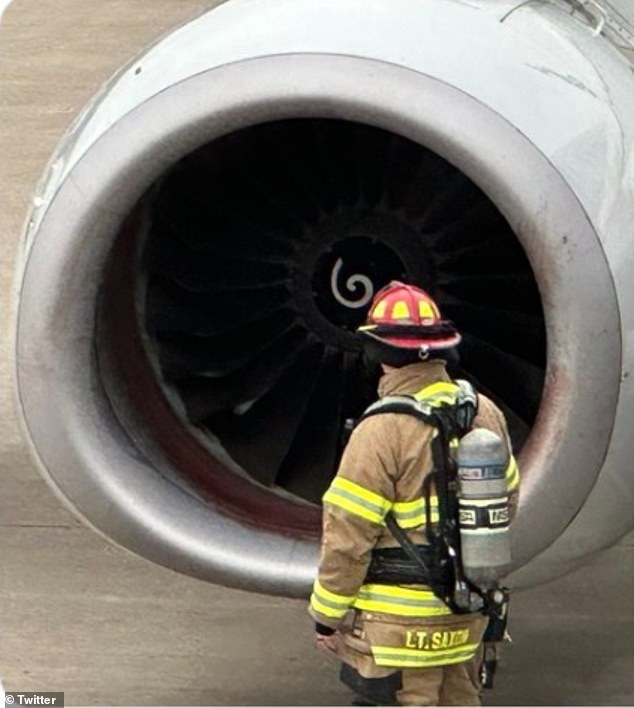 Boeing 737 flight was hit by geese during flight, engine spit fire into ...