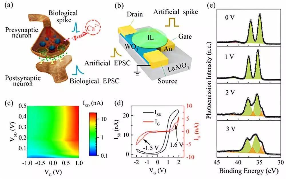 Effect of PCC Crystallization and Morphology on Flocculation and Liquid ...