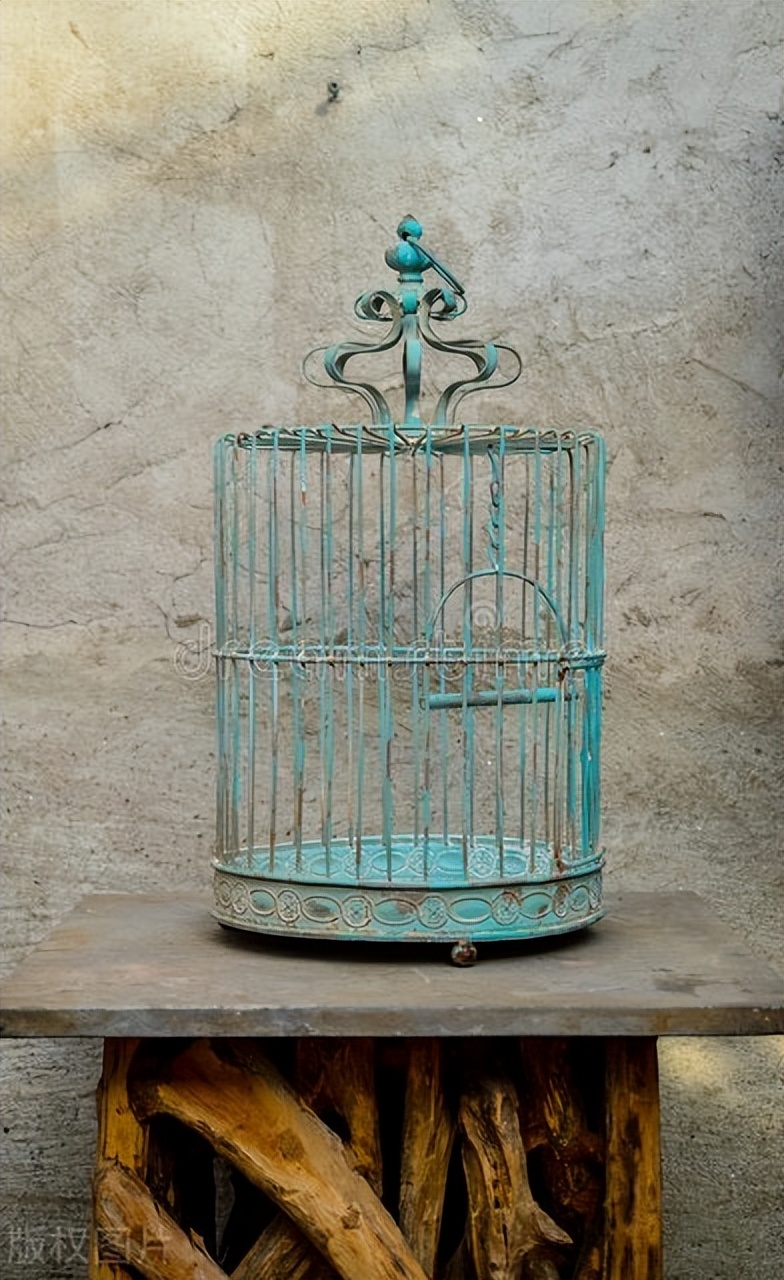The movie "In the Octagonal Cage": Wang Baoqiang's realistic themes ...
