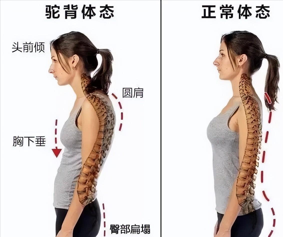 Relatively simple shoulder and back training movements, improve chest ...