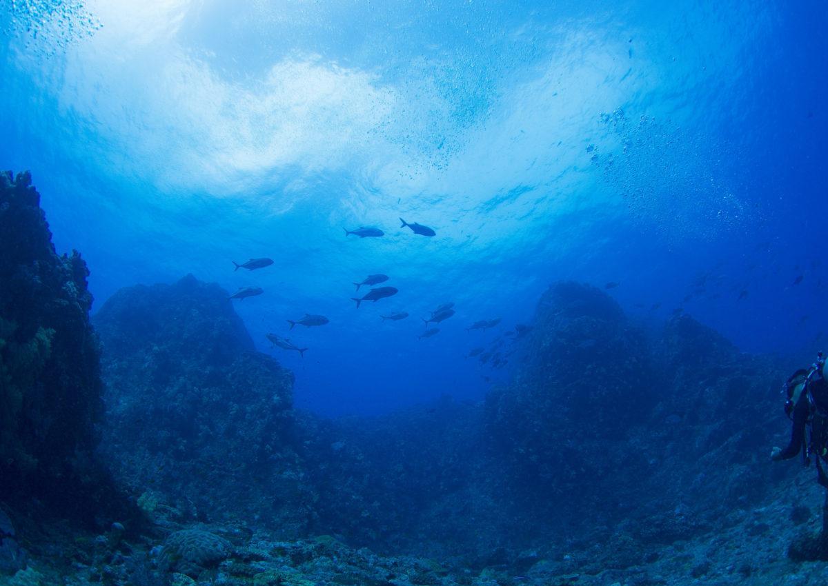 The South China Sea earthquake threatens 320,000 lives, and the ...